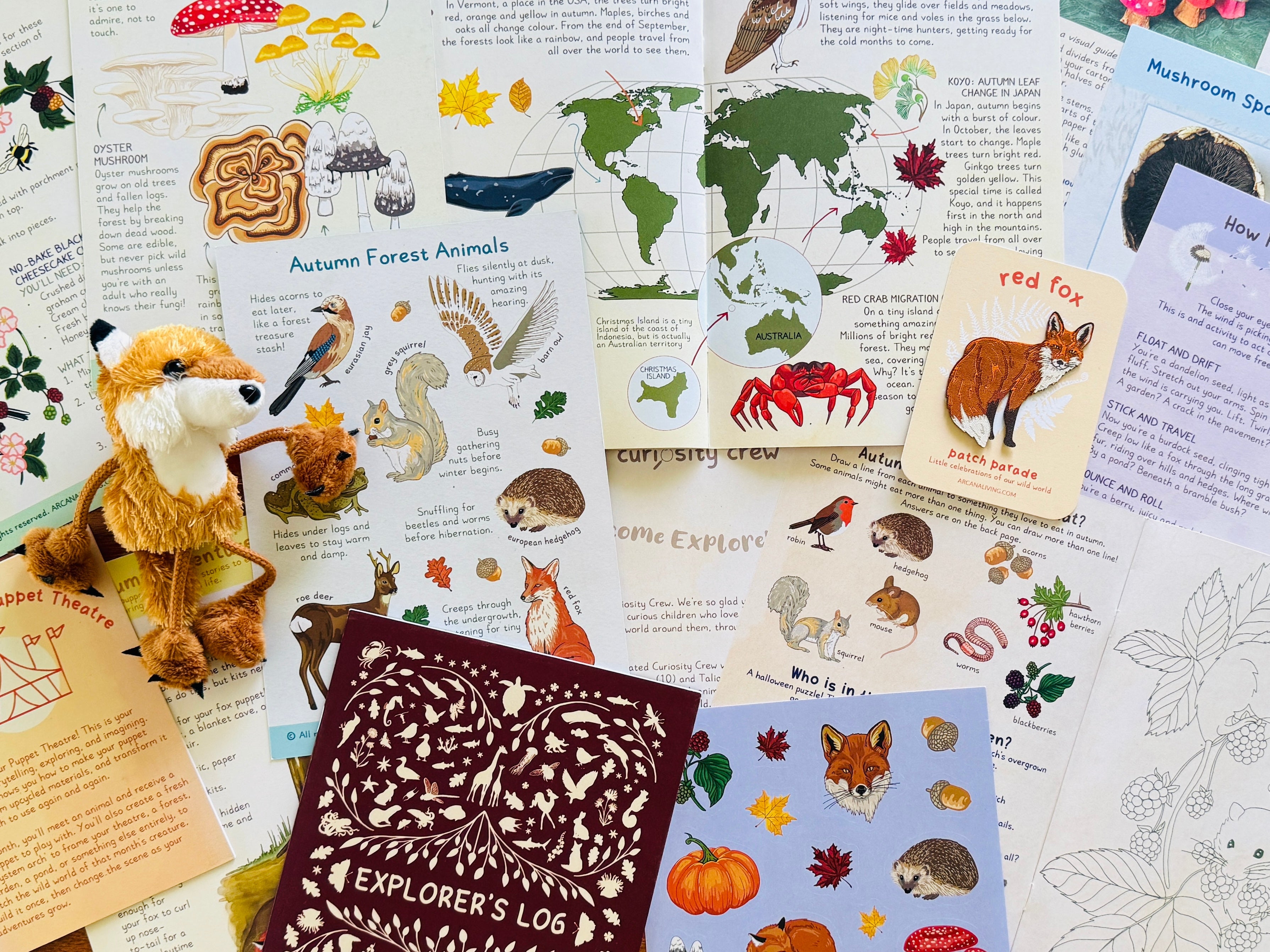 Archive Boxes - Curiosity Club (7-12 yrs) – Arcana