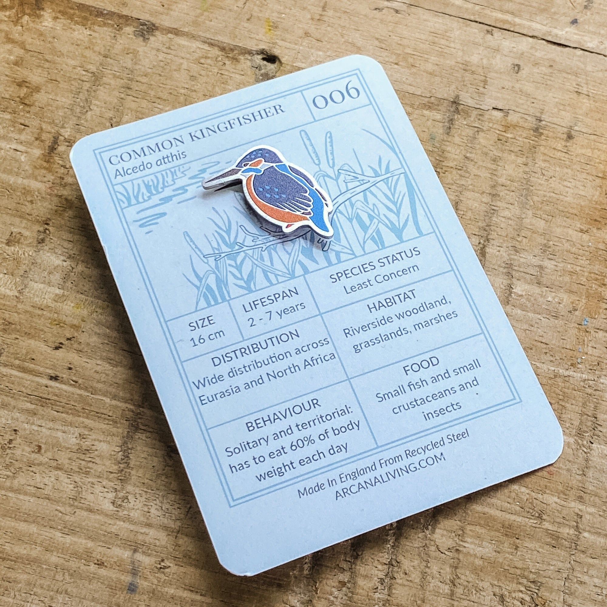 Kingfisher Biodiversity Badge – Arcana