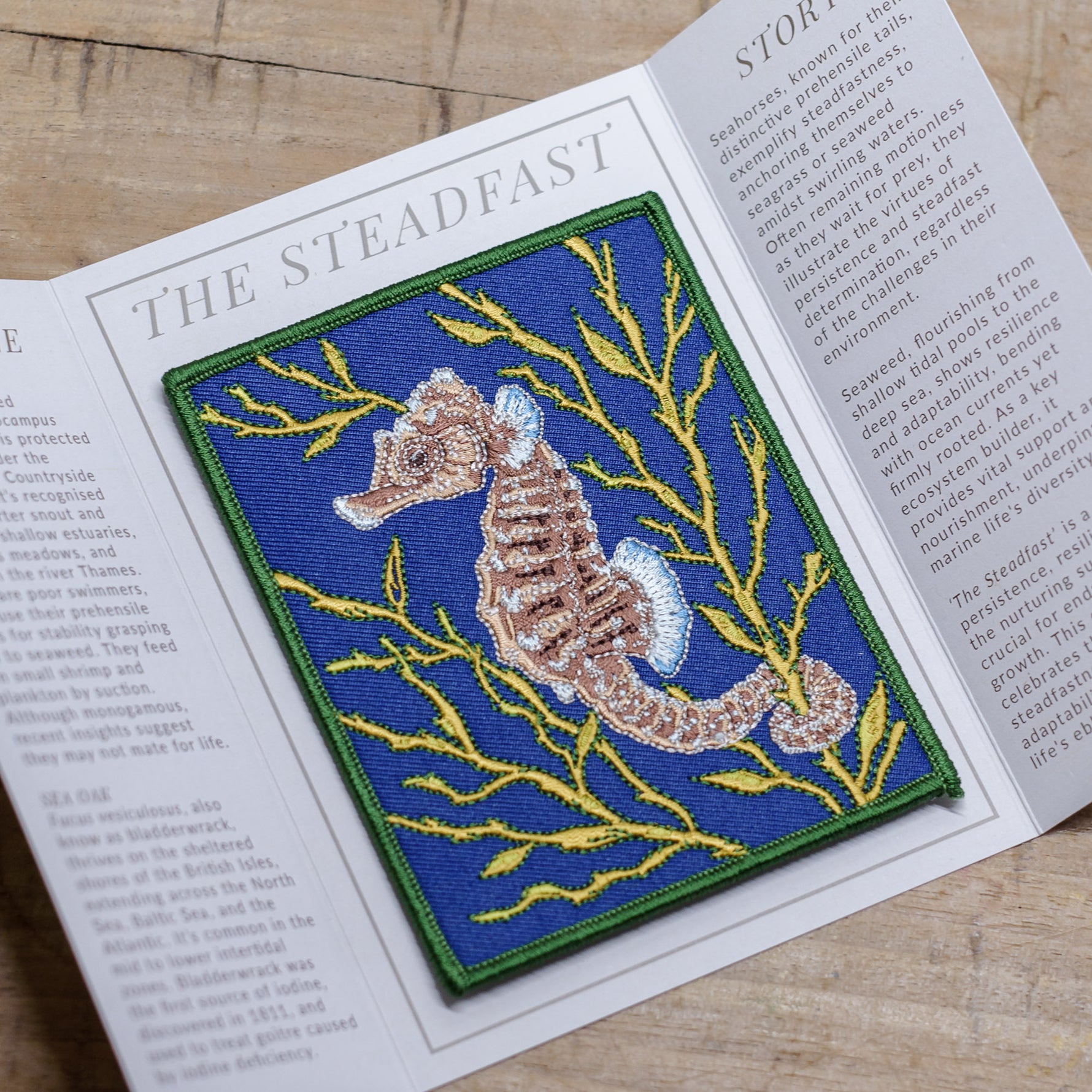 Seahorse and Sea Oak Embroidered Patch – Arcana
